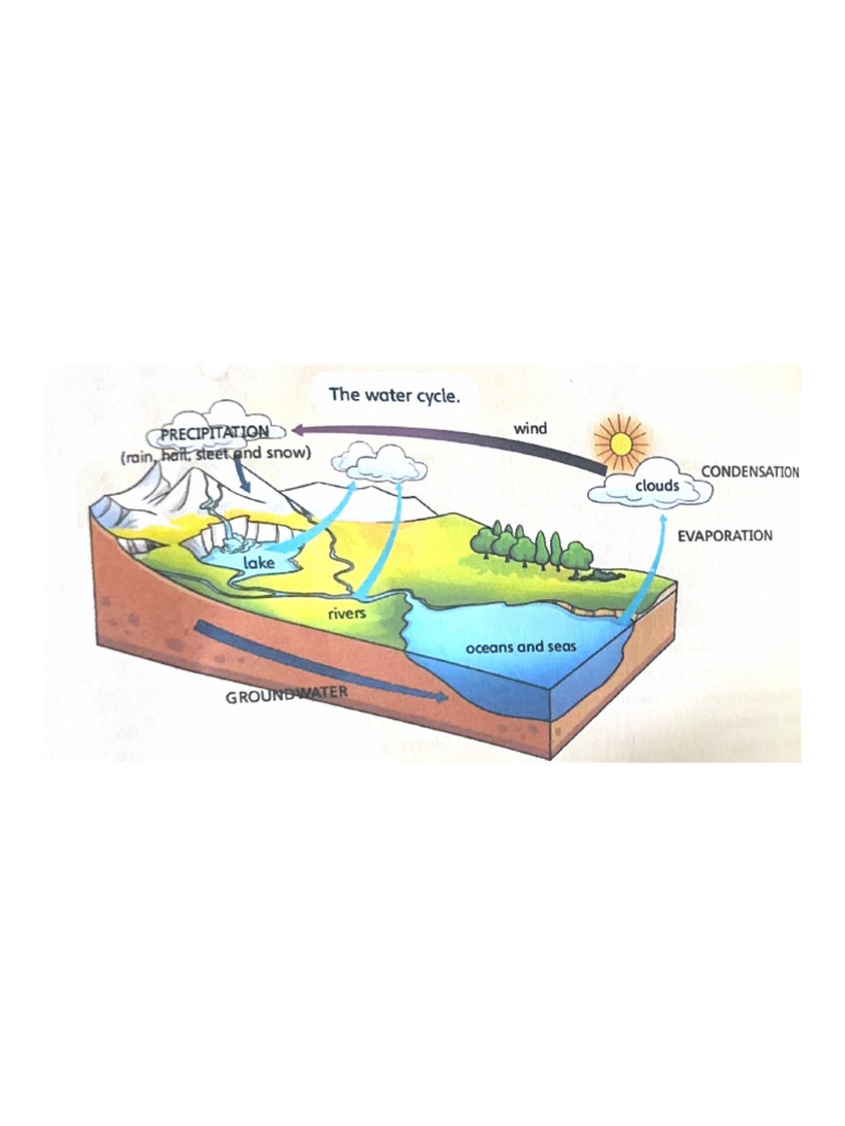 The Water Cycle. | PDF