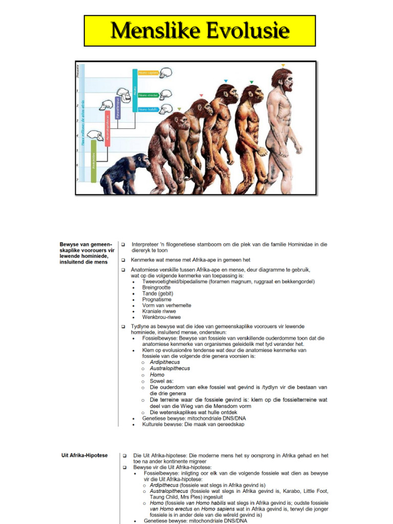 08b Menslike Evolusie | PDF