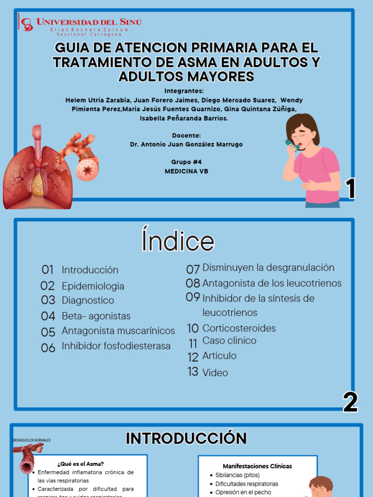 Guía Asma Adultos: Diagnóstico y Tratamiento | PDF | Asma ...