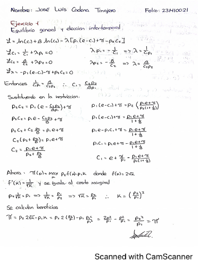 Examen Final Macroeconomía Luis Cadena | PDF