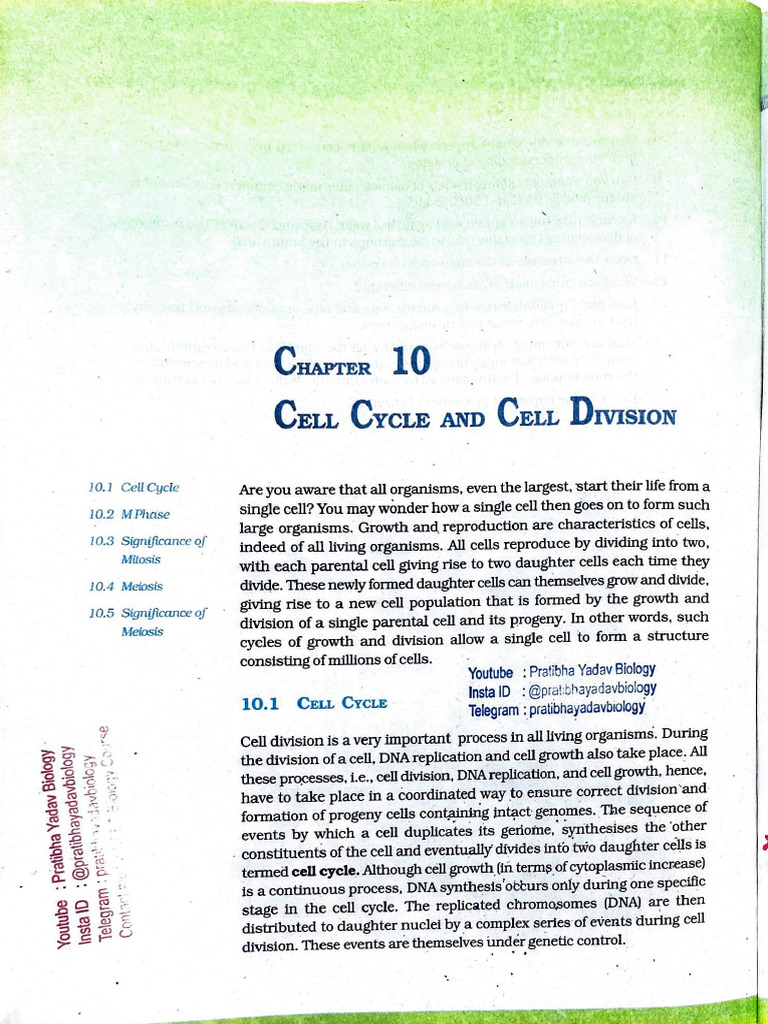 PYMam Ch10-Cell Cycle and Cell Division | PDF | Mitosis | Meiosis