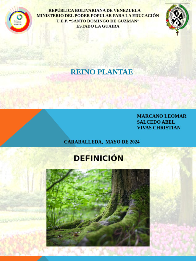 Reino Plantae: Definición y Funciones | PDF