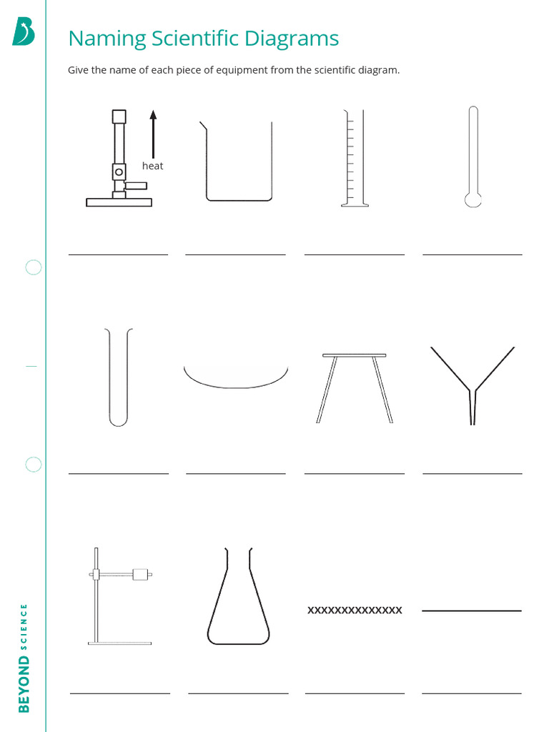 Naming Scientific Diagrams Worksheet | PDF | Teaching Methods ...