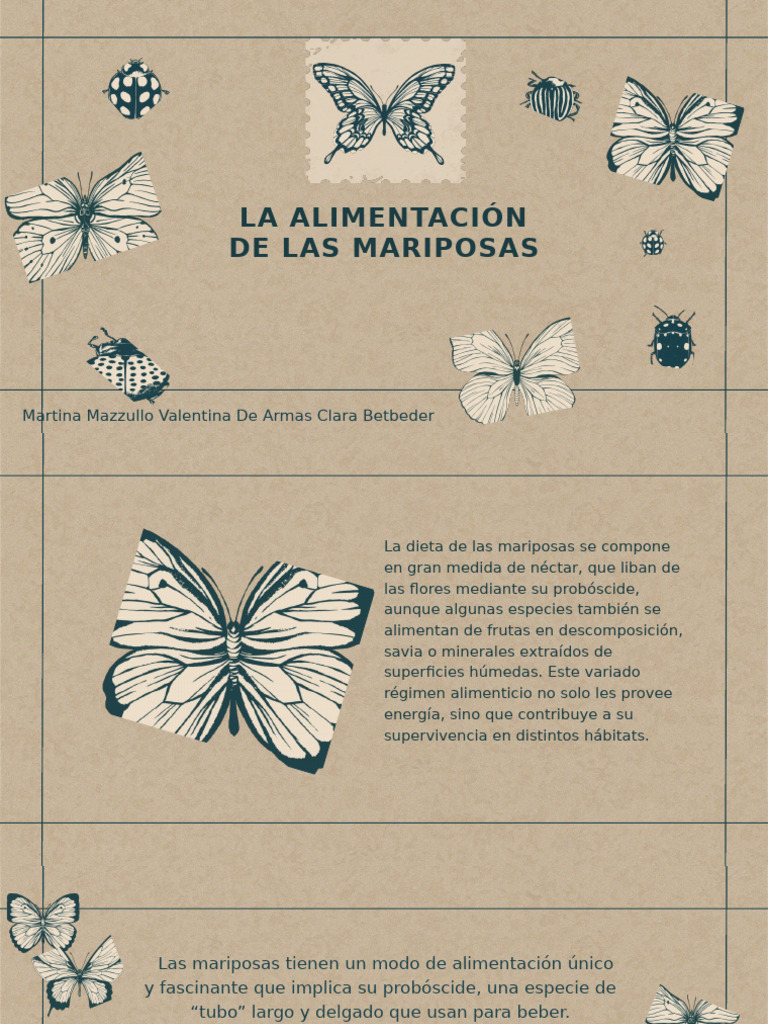 Mariposas y Otros Insectos | PDF | Ciencia y matemáticas
