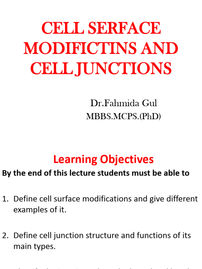 6-Cell Junctions+cell Surface Modifications | PDF | Epithelium | Cell ...