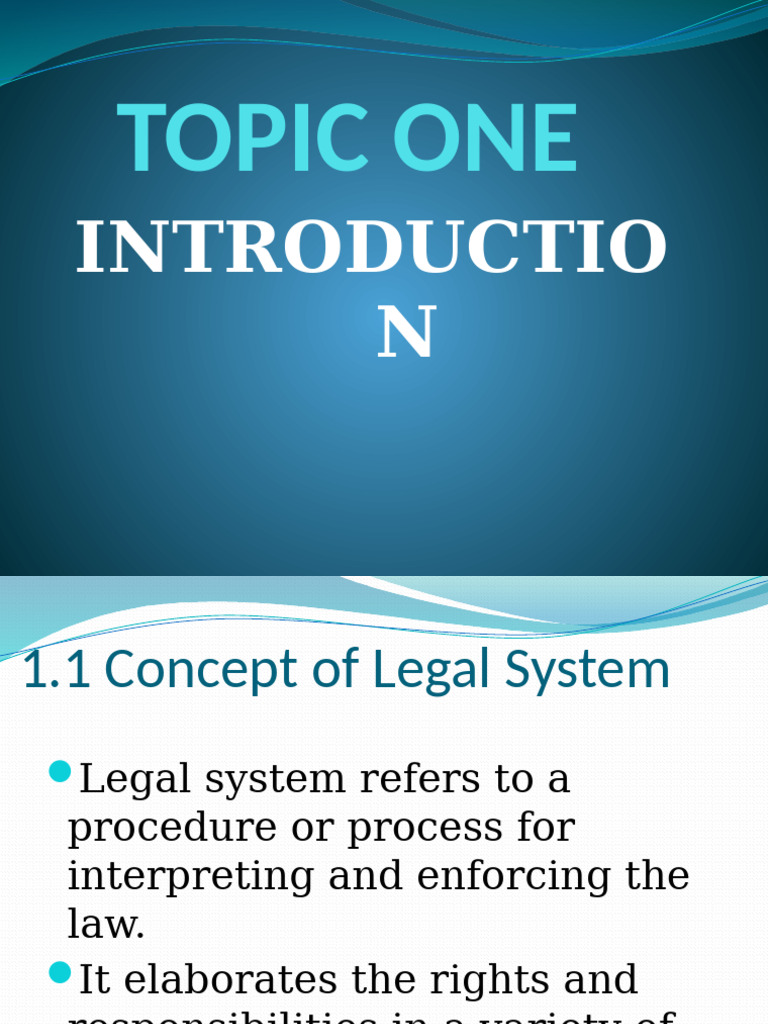 Overview of Global Legal Systems | PDF | Sources Of Law | Judiciaries
