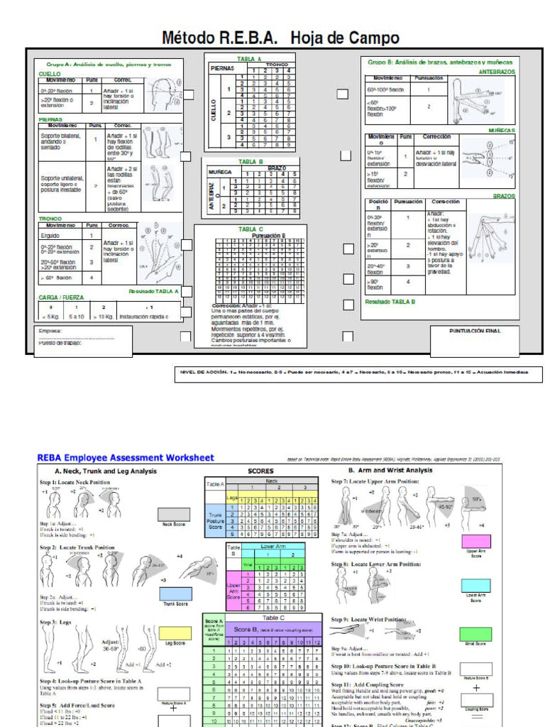 REBA Formato Español e Ingles | PDF