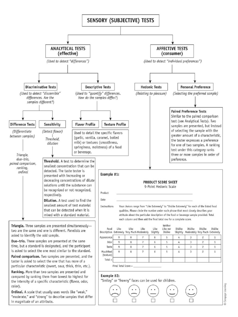 Sensory Tests | PDF