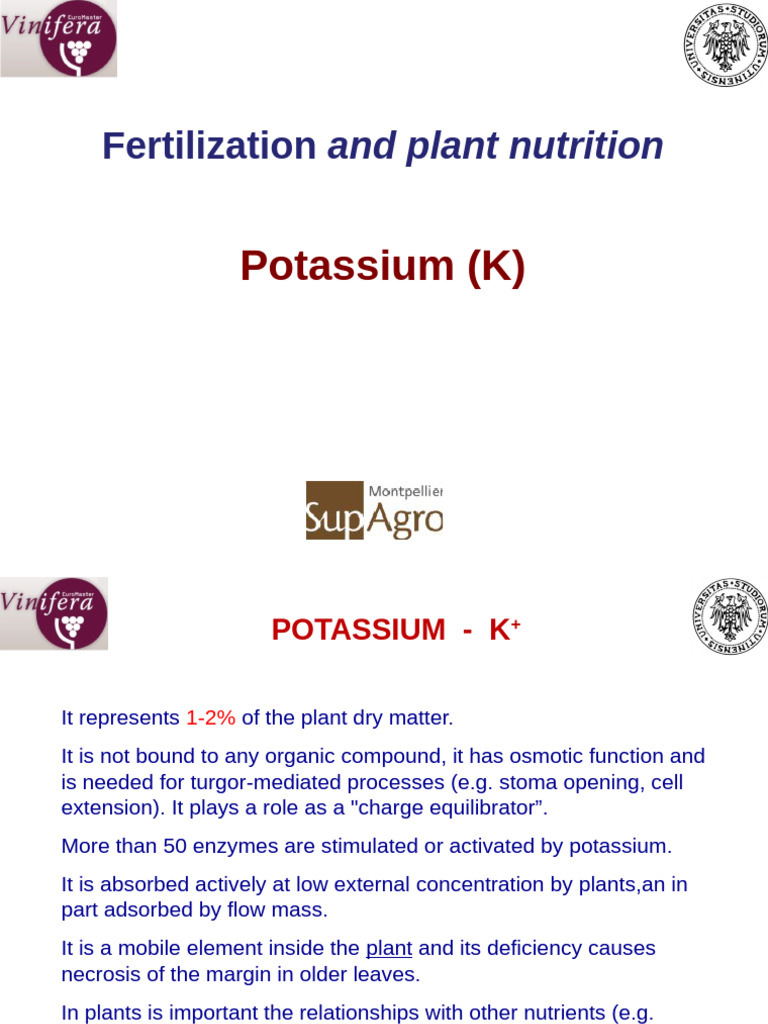 Potasium MC | PDF | Potassium Chloride | Potassium
