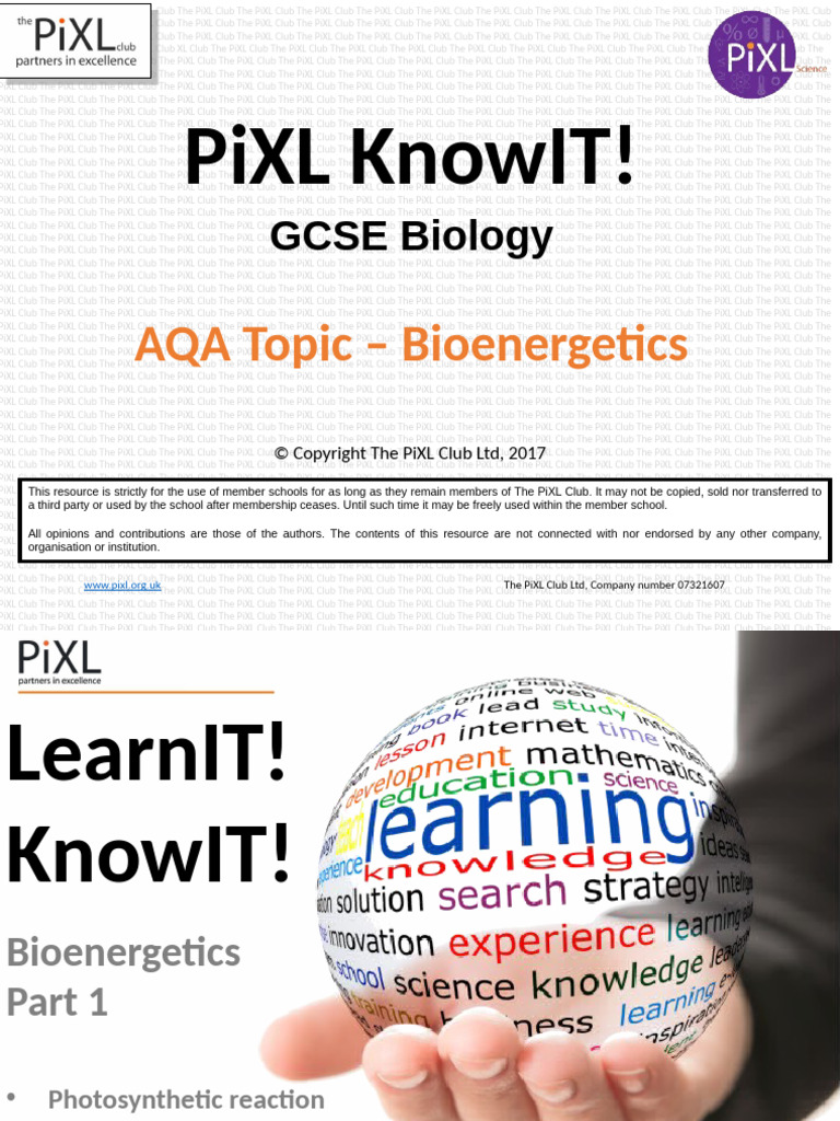 Bioenergetics KnowIT GCSE | PDF | Cellular Respiration | Photosynthesis