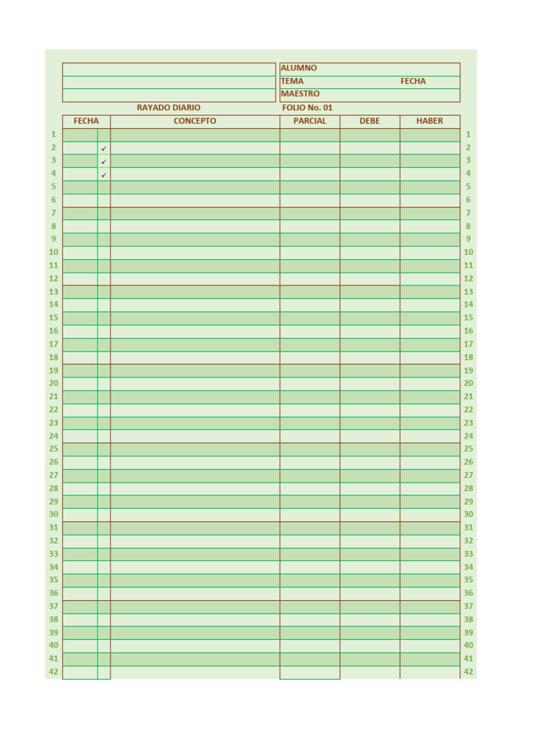 Rayado Diario de Contabilidad | PDF