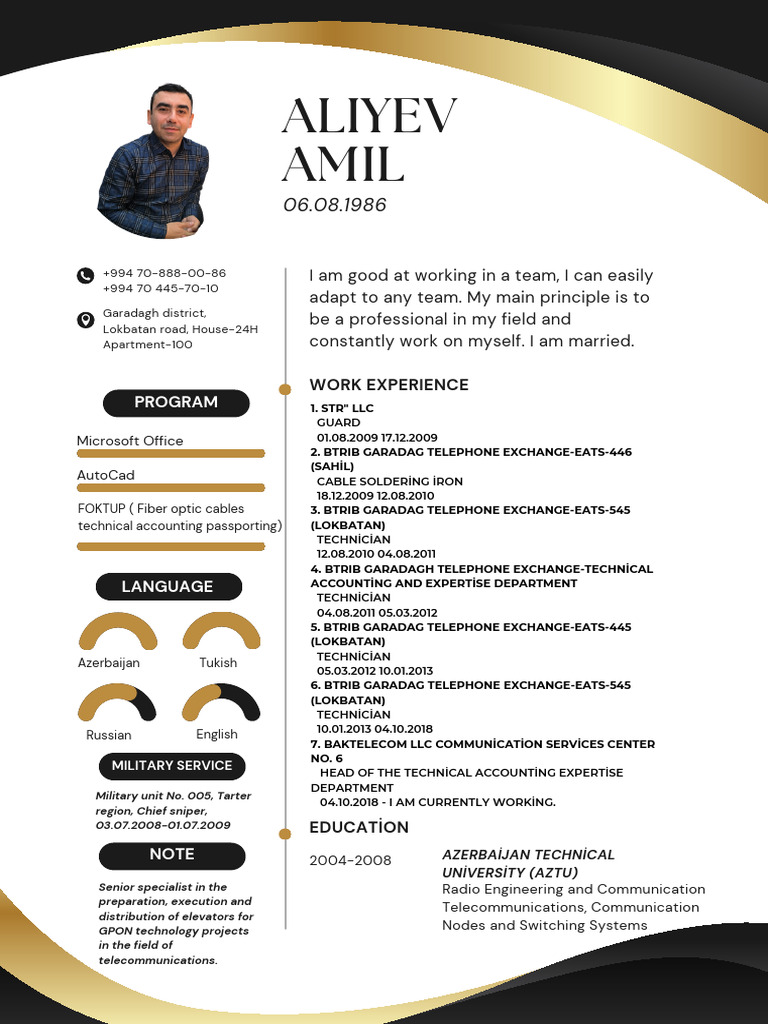 Aliyev Amil (En) | PDF | Service Industries | Electronics