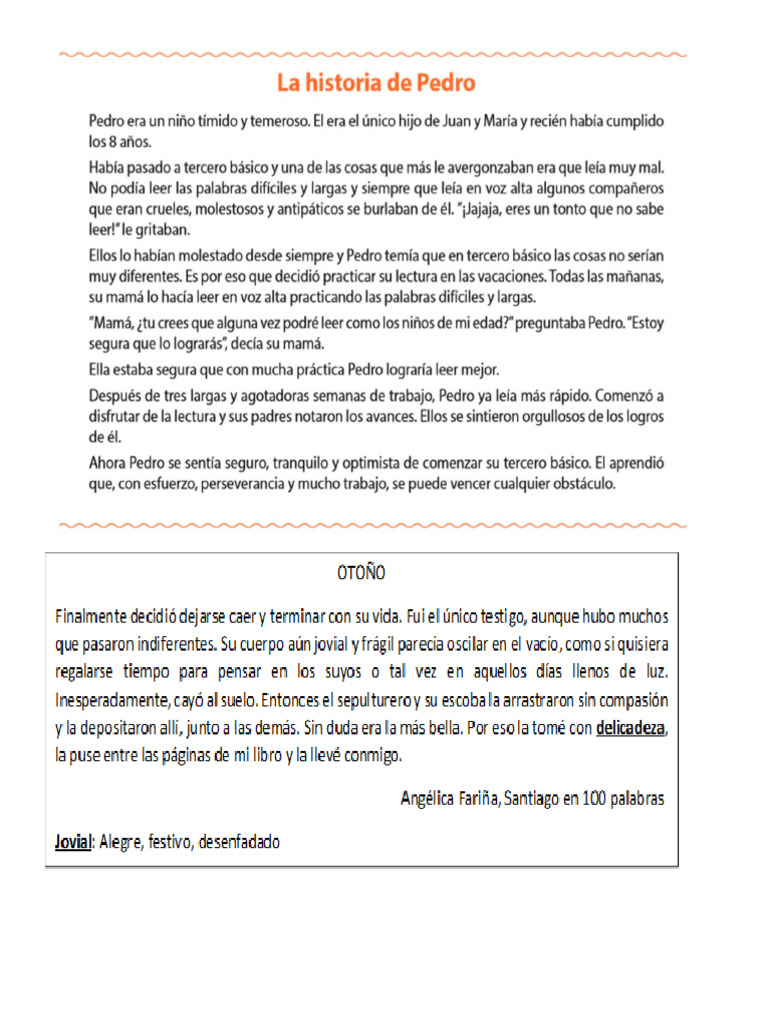 La Historia de Pedro - Ejemplo RICE | PDF