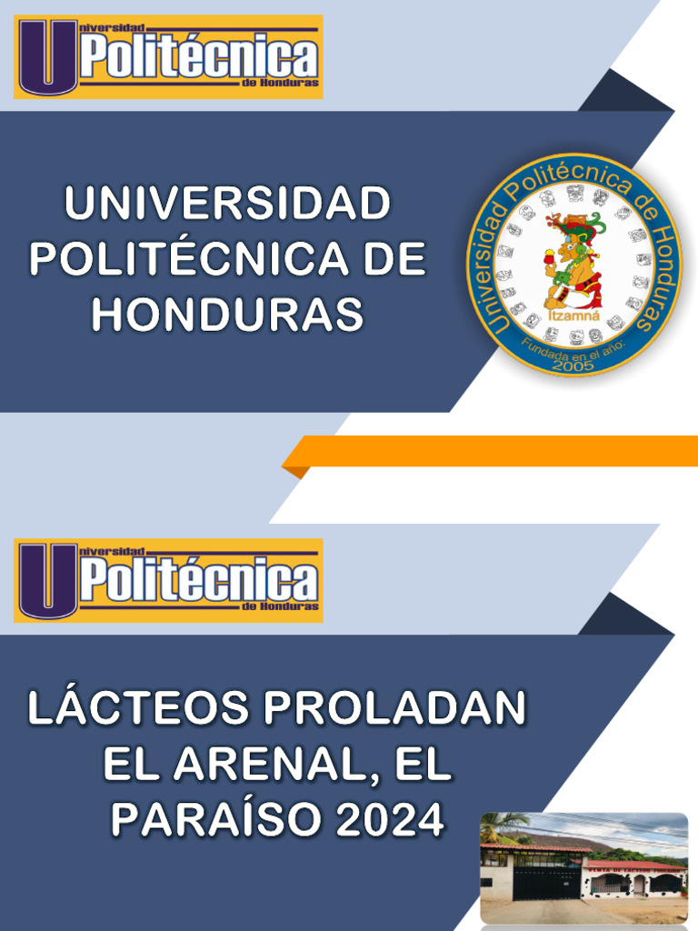 Proyecto Lacteos | PDF | Negocios