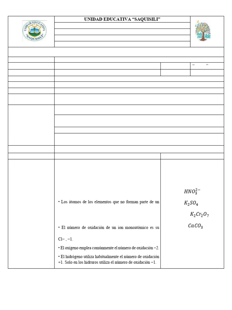 Quimica 2, S2, P1, Q2 | PDF | Redox | Ion