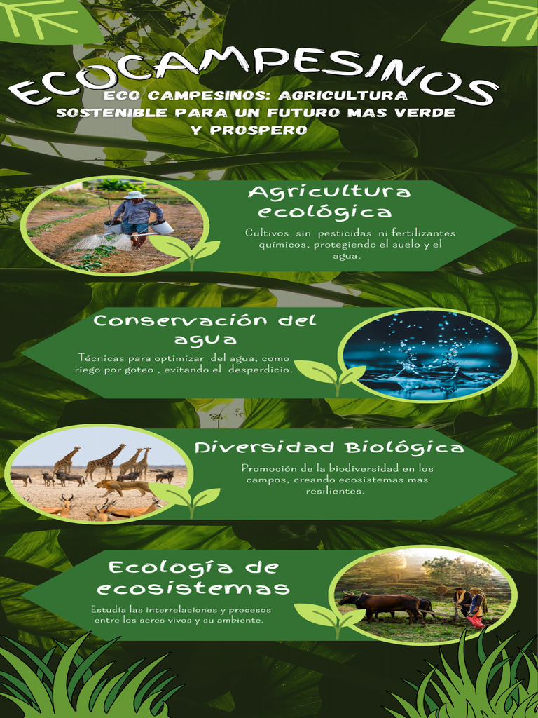Infografía Ramas de La Ecología Con Fotos Verde | PDF | Salud y ...
