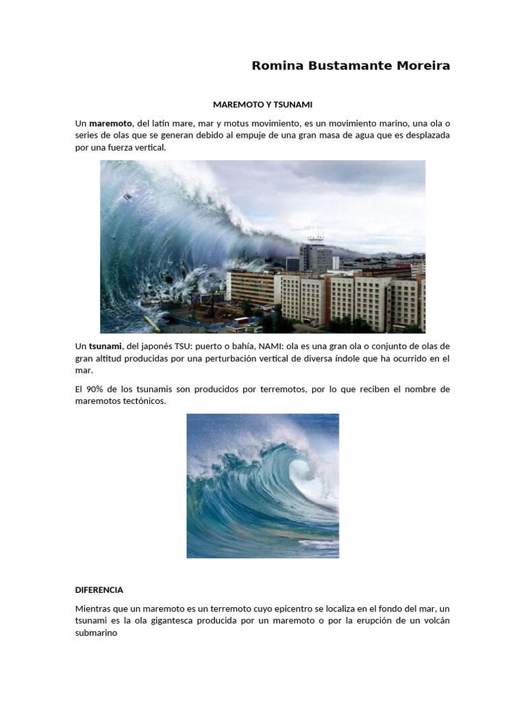 Maremoto vs Tsunami: Diferencias | PDF