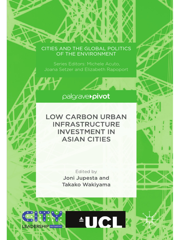 Cities and The Global Politics of The Environment: Series Editors ...