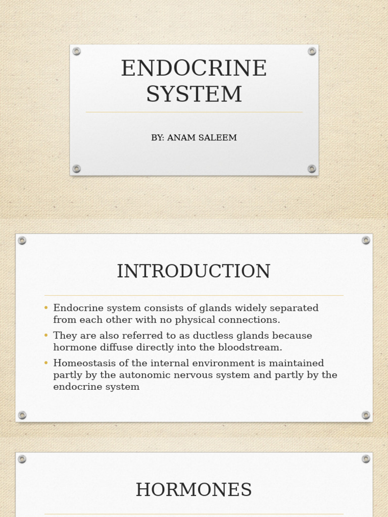 Endocrine System | PDF | Endocrine System | Pituitary Gland