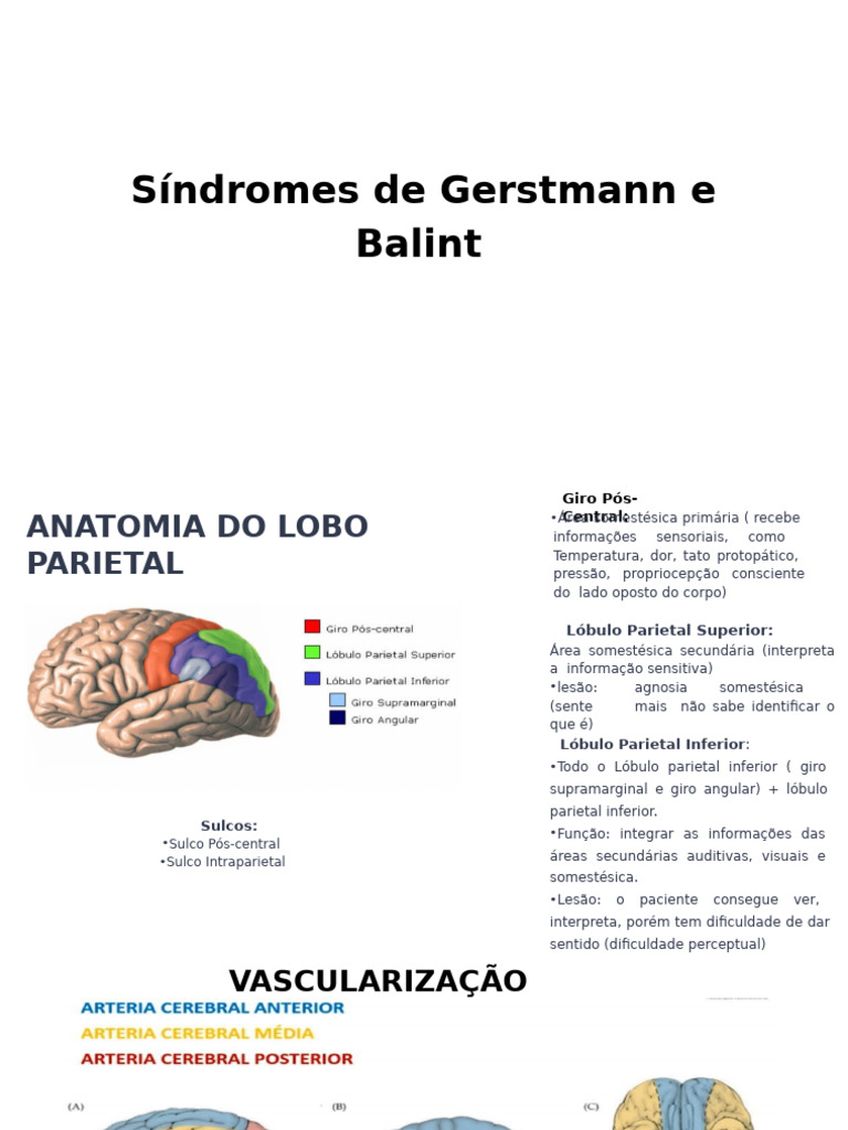 Síndromes de Gerstmann e Balint: Diagnóstico e Tratamento | PDF ...