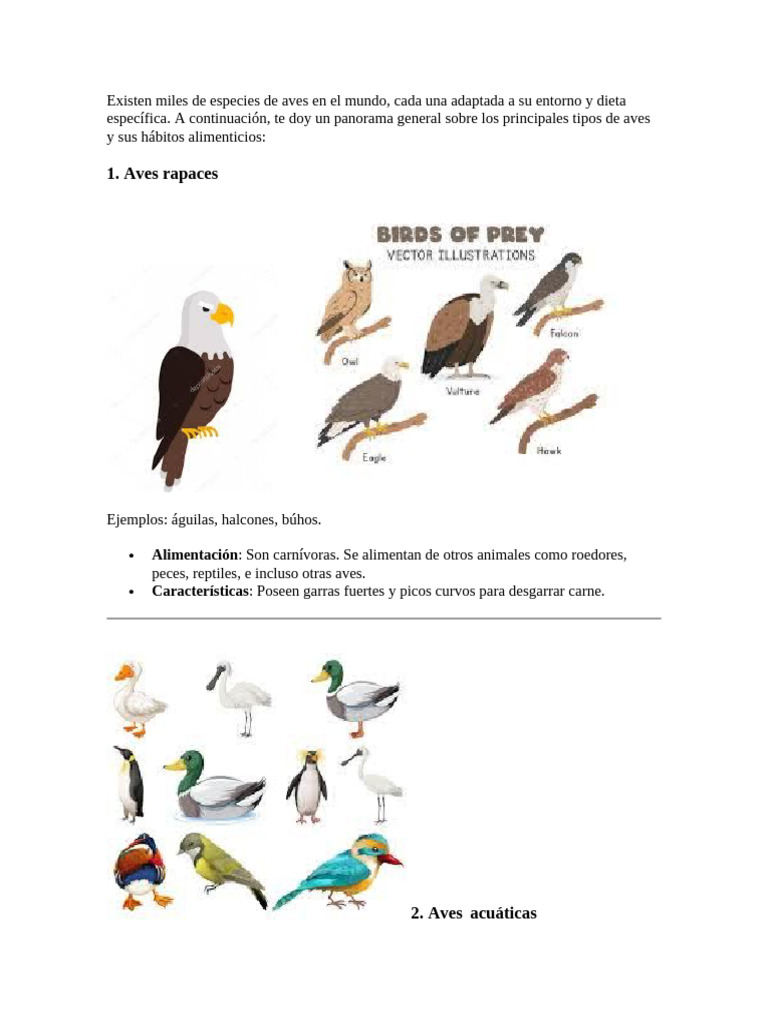 Aves | PDF | Ciencia y matemáticas | Tecnología