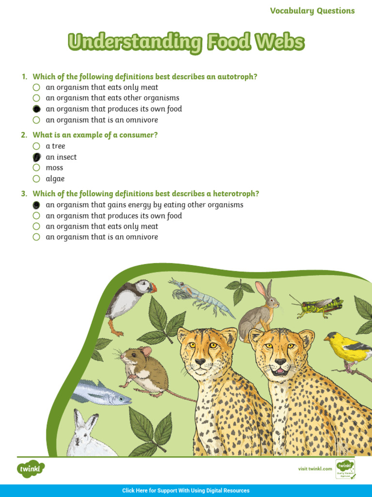 Digital Fifth Grade Understanding Food Webs Vocabulary Questions | PDF