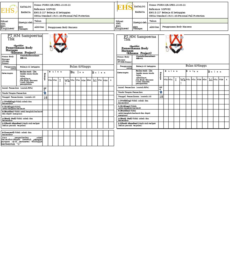 Inspection Body Harness Project | PDF