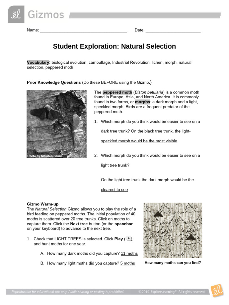 NaturalSelectionSE | PDF | Biological Evolution | Nature