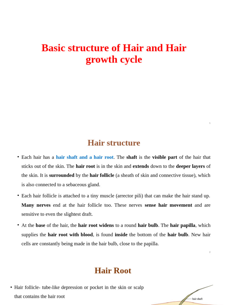 Basic Structure of Hair. Hair Growth Cycle. | PDF | Hair | Skin