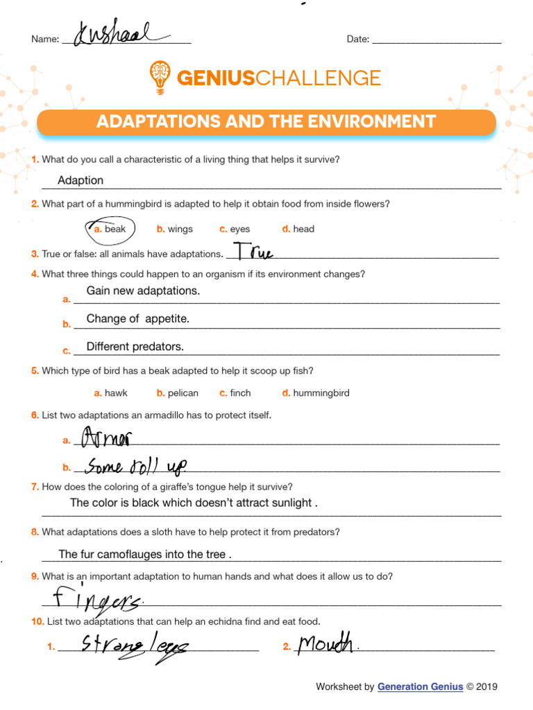Adaptations Quiz | PDF | Adaptation