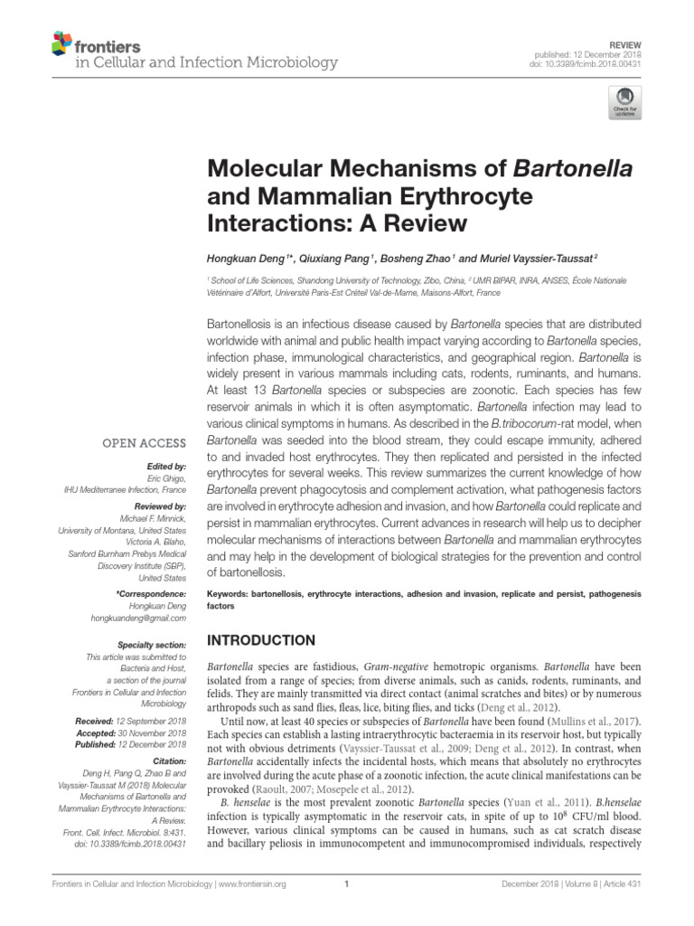 Molecular Mechanisms of Bartonella and Mammalian Erythrocyte Interactions: A Review | PDF ...