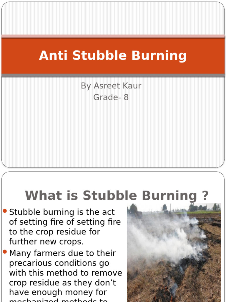 Anti Stubble Burning | PDF