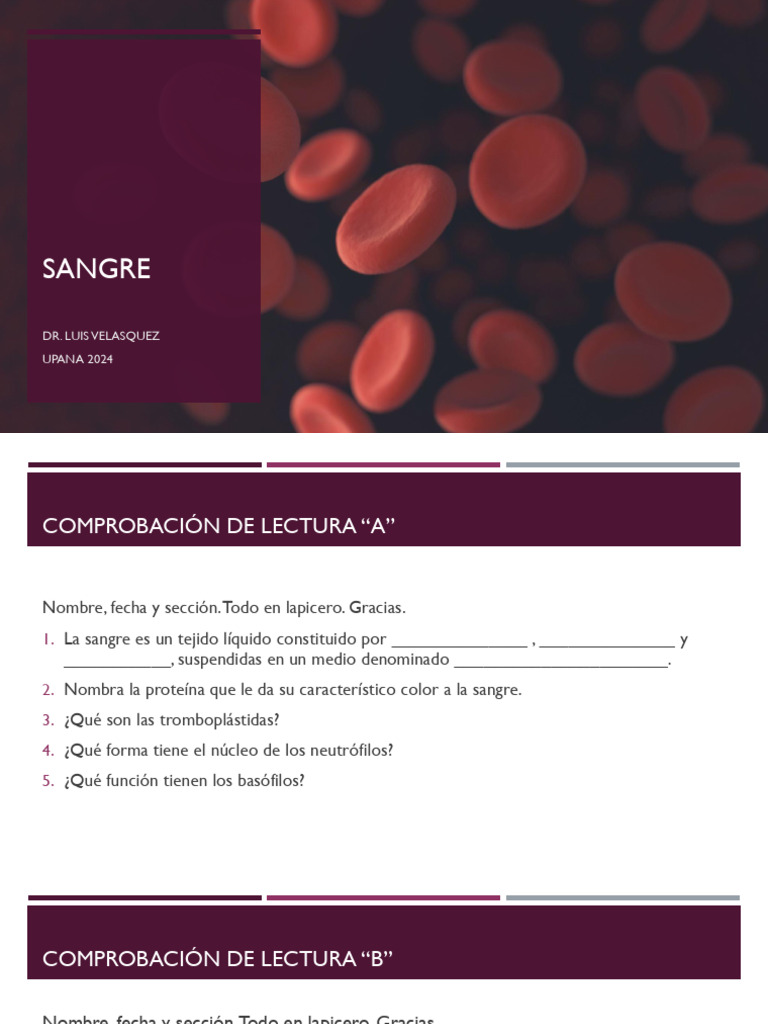 Tejido Sanguineo | PDF | Linfocitos | Sangre