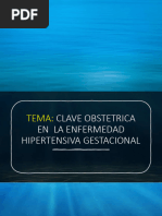 Protocolo Clave Azul en Obstetricia | PDF | Medicina CLINICA | Laboratorios