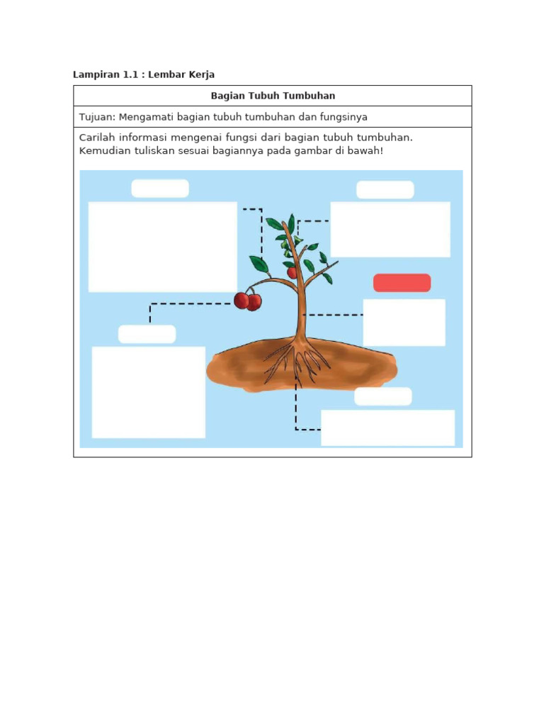 LKPD - Bagian Tumbuhan | PDF