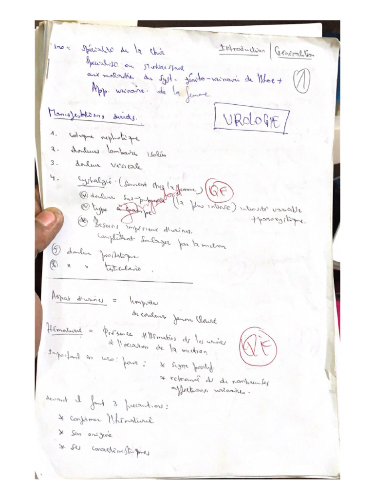 Urologie Aurel | PDF