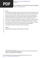 Wood Density Reference Chart | PDF | Trees | Forest Products