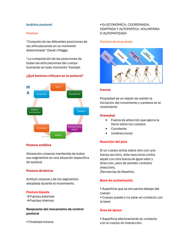 Análisis Postural | PDF | Fuerza | Pelvis