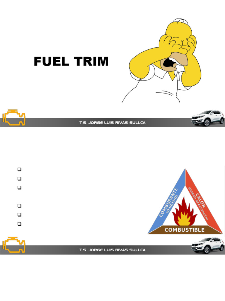 Fuel Trim | PDF | Inyección de combustible | Combustión
