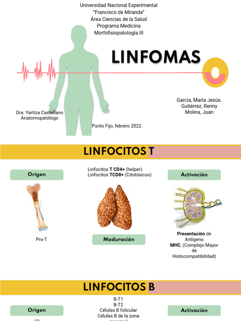 Guía Completa sobre Linfomas: Tipos y Tratamientos | PDF | Linfoma | Cáncer