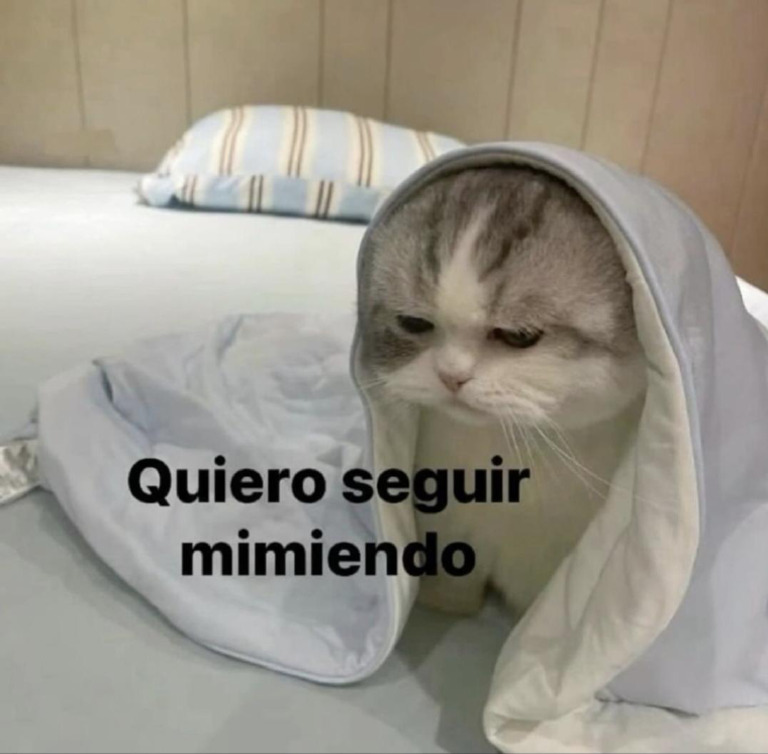 Gatito Random Ceces | PDF