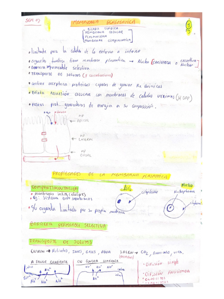 Membrana Resumen - Mario Galán | PDF