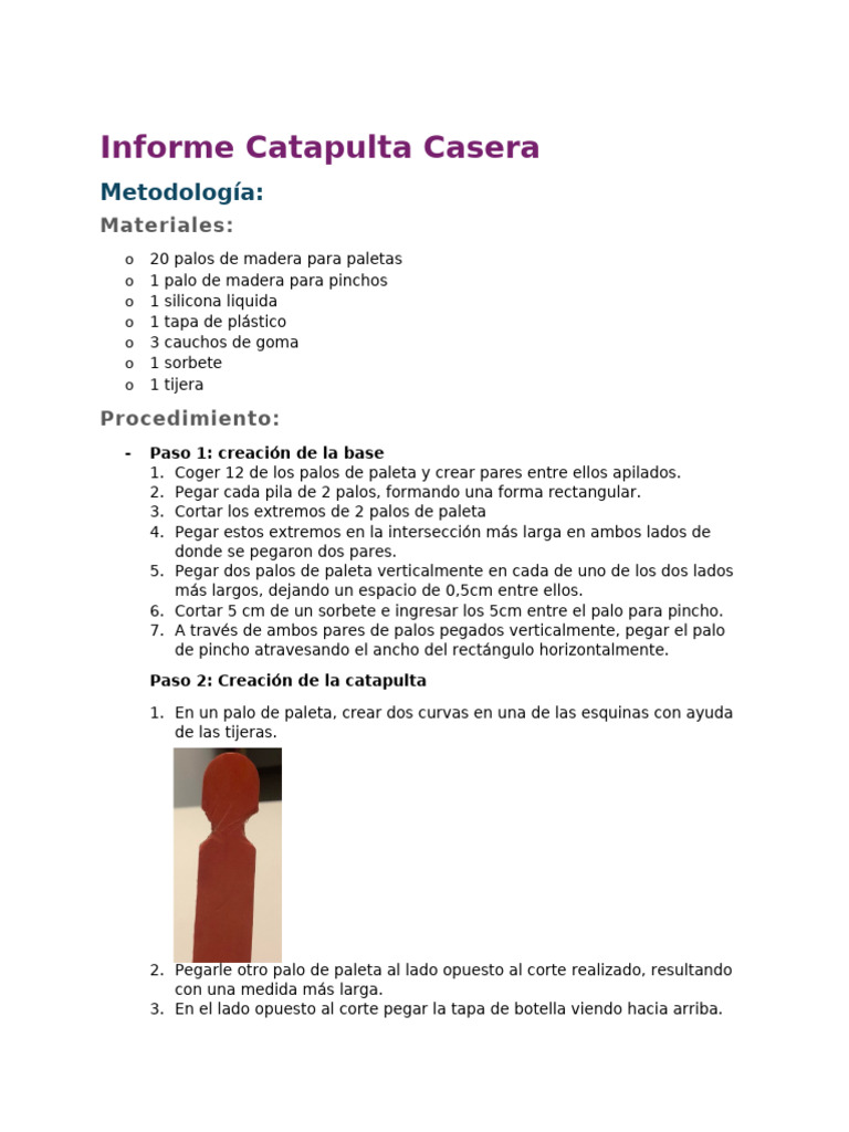 Informe Catapulta Casera | PDF | Métodos y materiales de enseñanza | Hogar y jardín