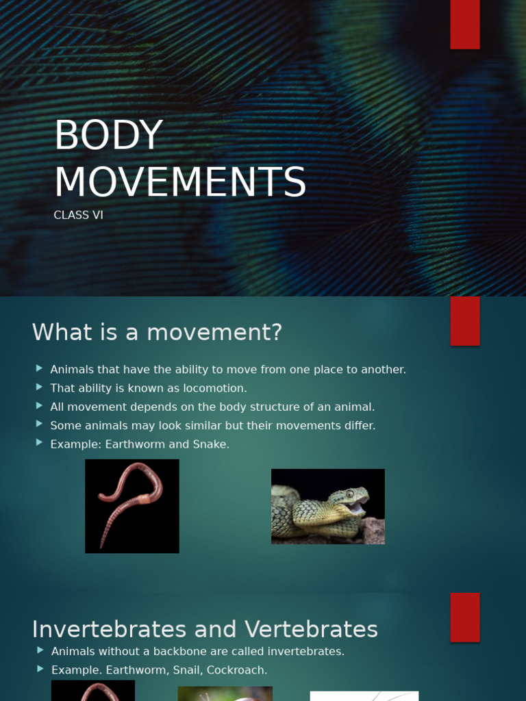 Locomotion in Animals for Class 6 | PDF | Animal Locomotion | Skeleton