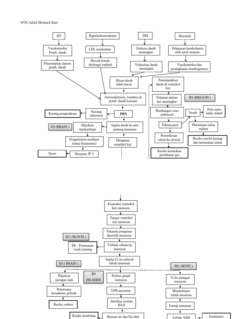 WOC Infark Miokard Akut | PDF