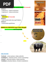 UMHLABA OFILE Presentation | PDF