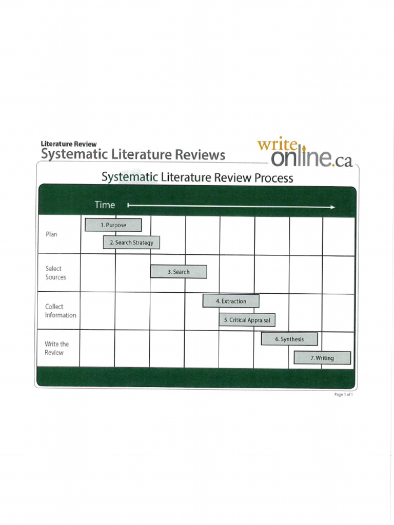 Lit Review Info | PDF