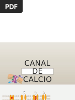 Función y Regulación del Calcio en Células | PDF | Neurona | Biología ...