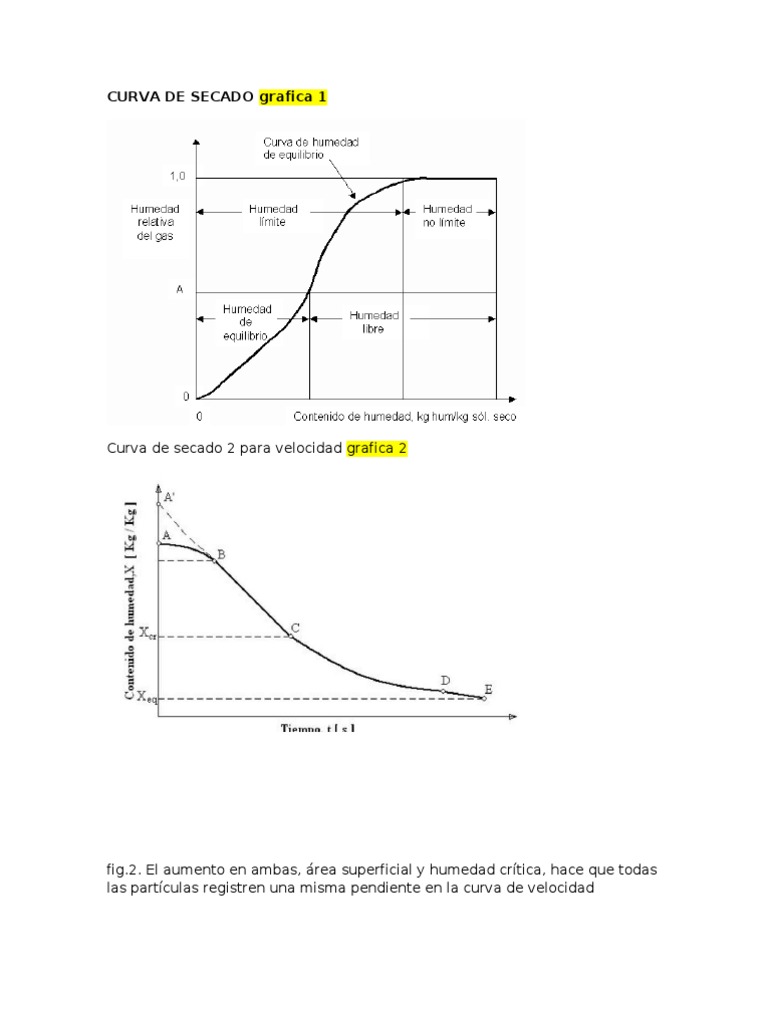Curvas de Secado y Velocidad en Alimentos | PDF | Ciencia y matemáticas