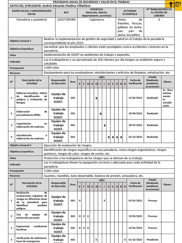 Programa Anual de SST | PDF
